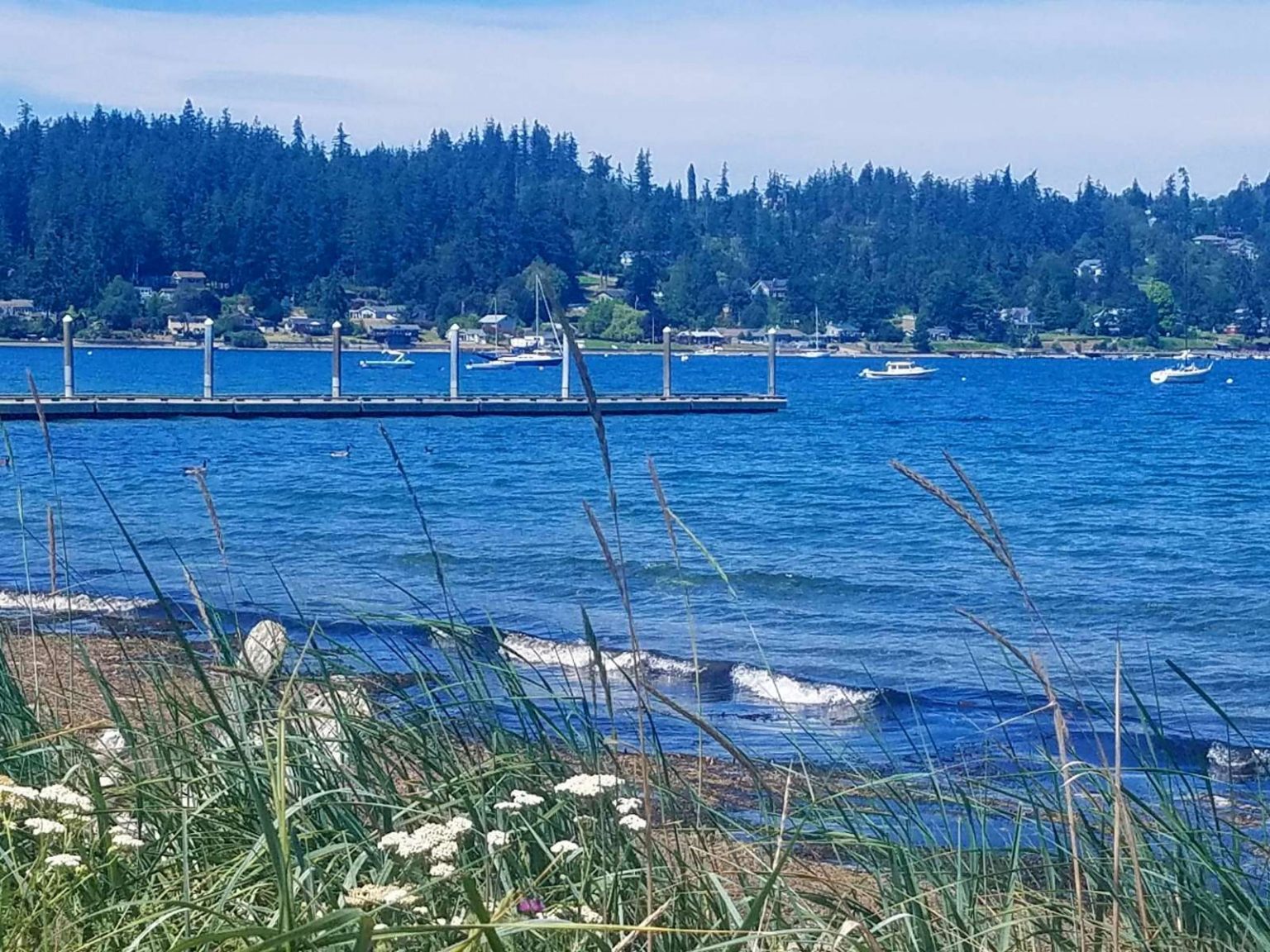 Your Guide to Freeland on Whidbey Island - Windermere Whidbey