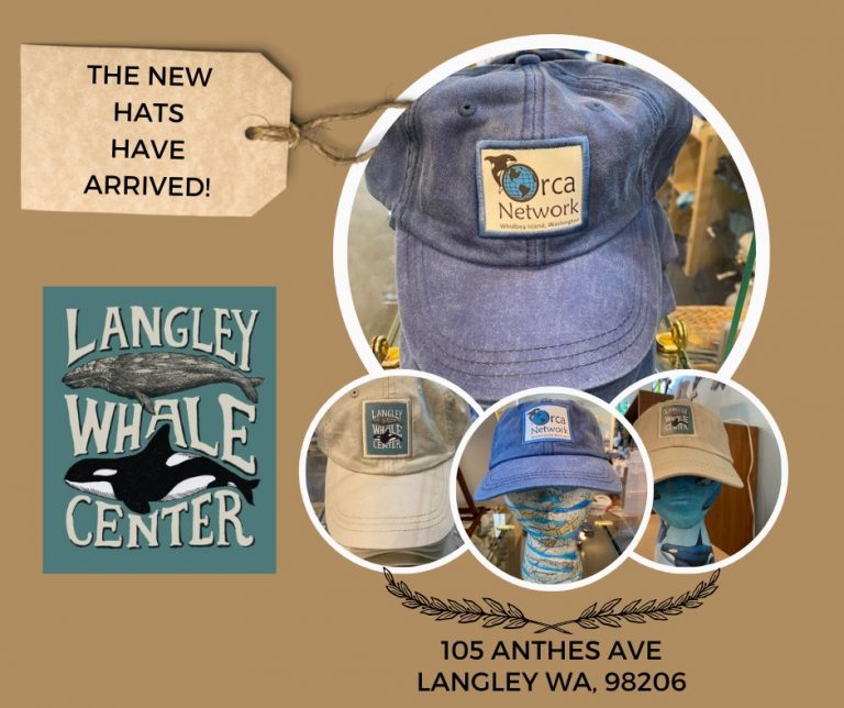 Whale Center hats - Windermere Whidbey